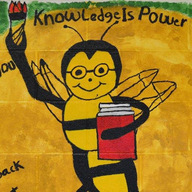 Bee Spotlight - Beasley Academic Center